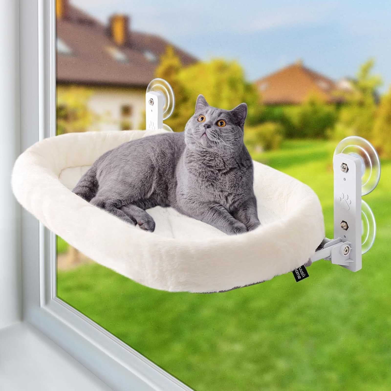 Novvia Cat Hanging Bed Window Habitat Cozy Lounger For Kitties Perfect ...