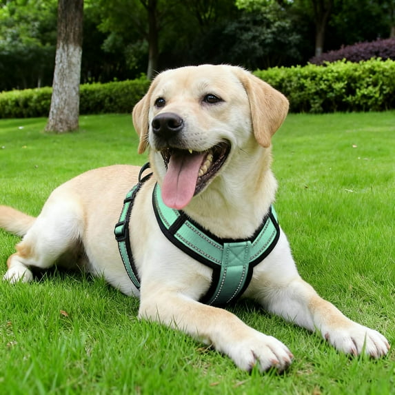 Novvia Chest Harness Ocean Colour Adjustable Harness In Size M (Chest ...