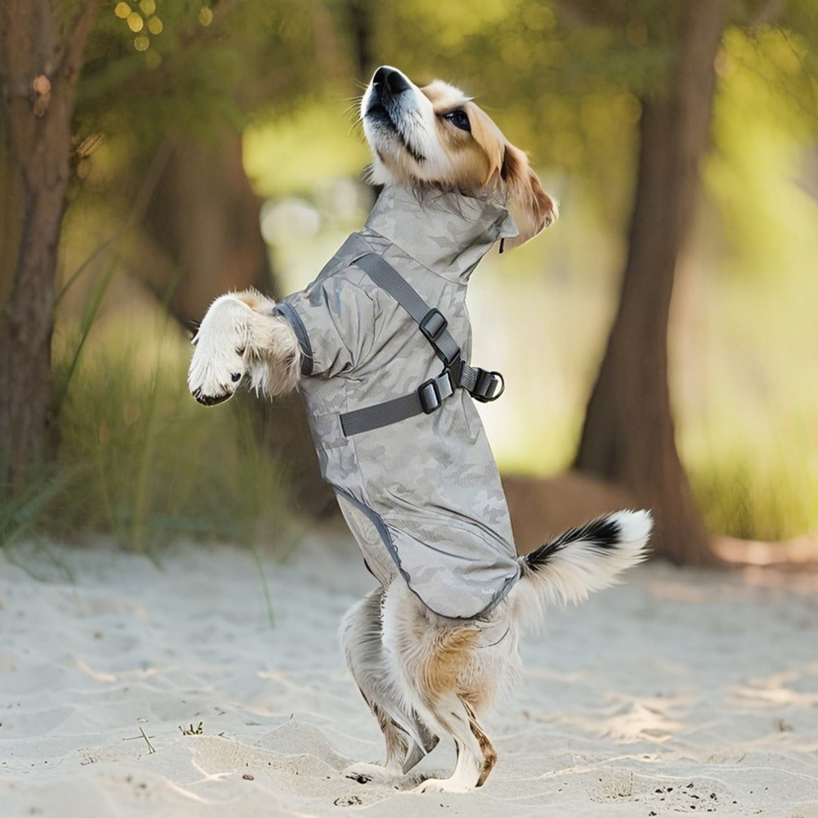 Novvia Dog Raincoat Pet Supplies Small And Medium Sized Dog Chest And ...