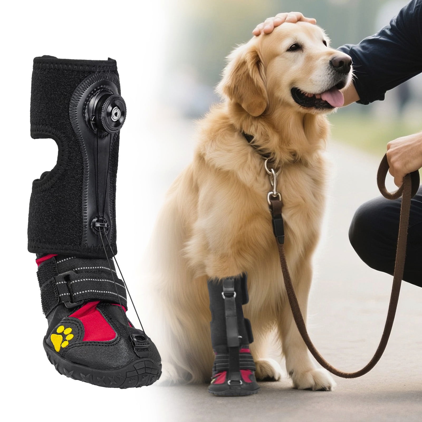 Novvia Drop Foot Brace With Reel(No Knuckling Boot Brace) For Dog ...