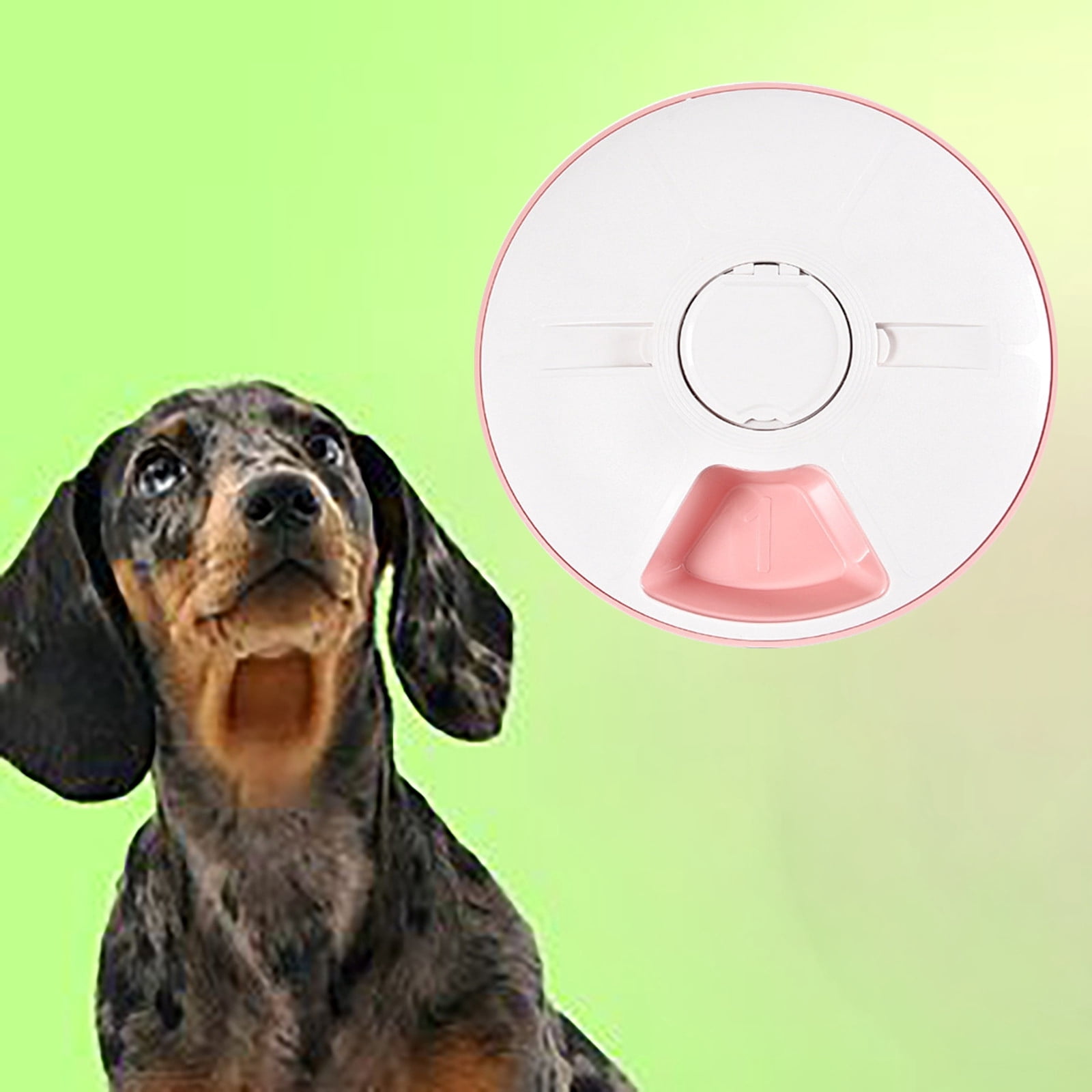 Novvia Pet Smart Timer Feeder Six Grid Dog Meow Automatic Timer Ration ...
