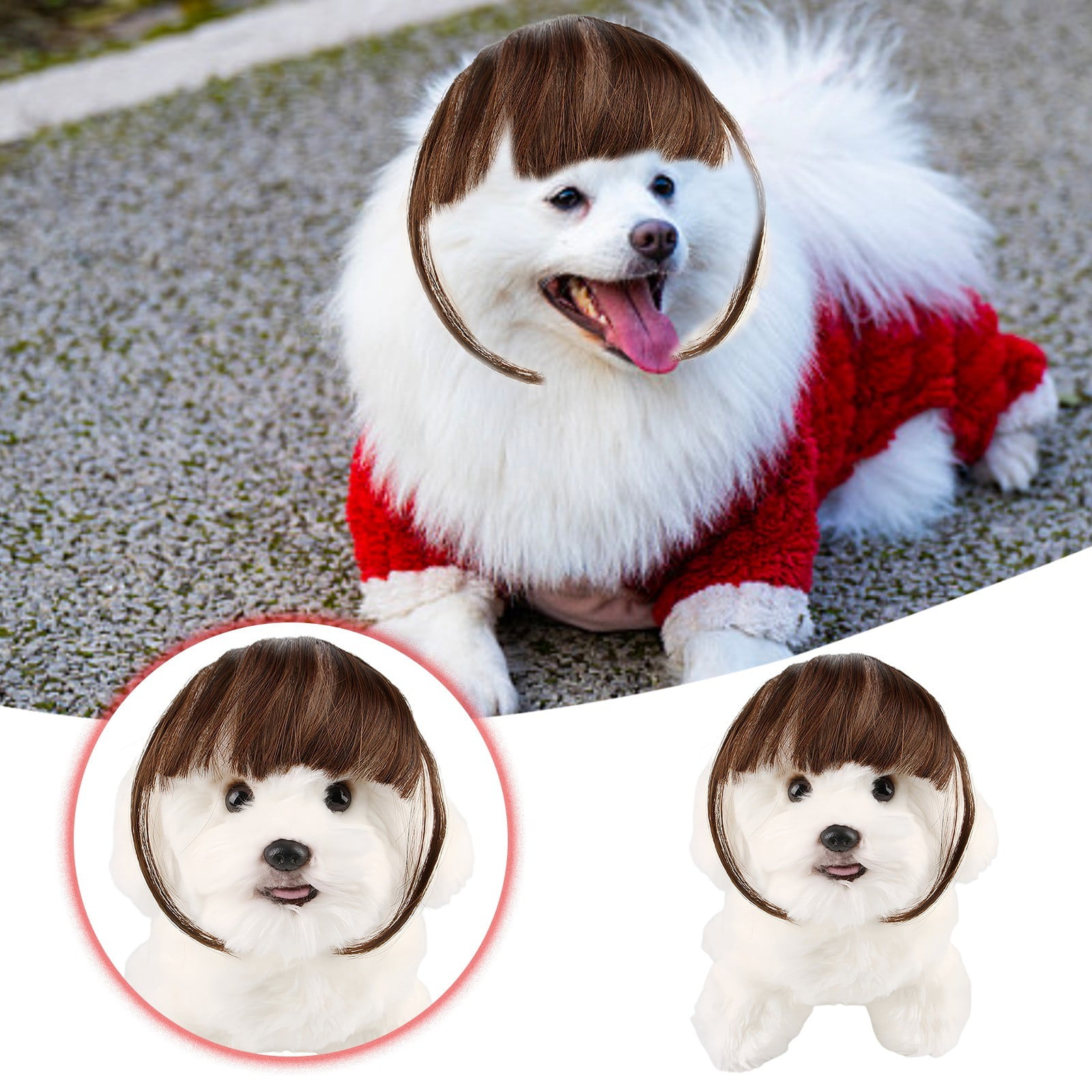 Novvia Pet Wigs With Full And Hairstyles Bidding Farewell To Monotony ...