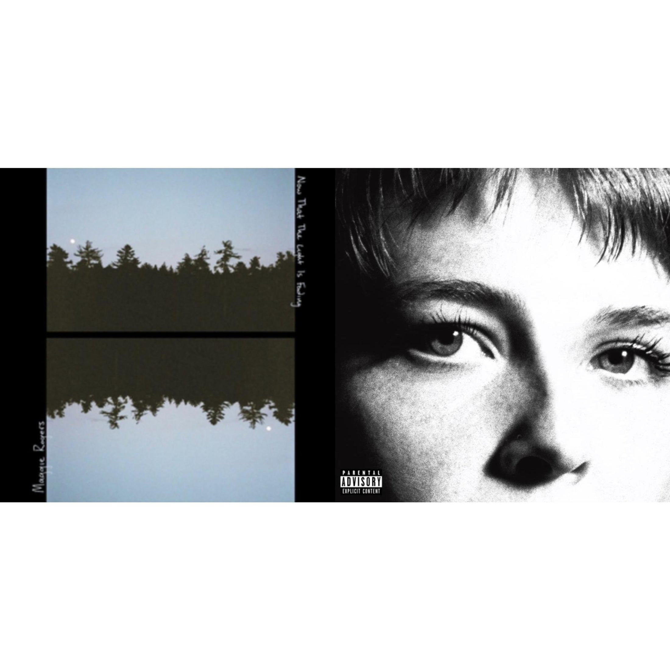 Now That The Light Is Fading & Surrender (X) [LP Vinyl Bundle ...