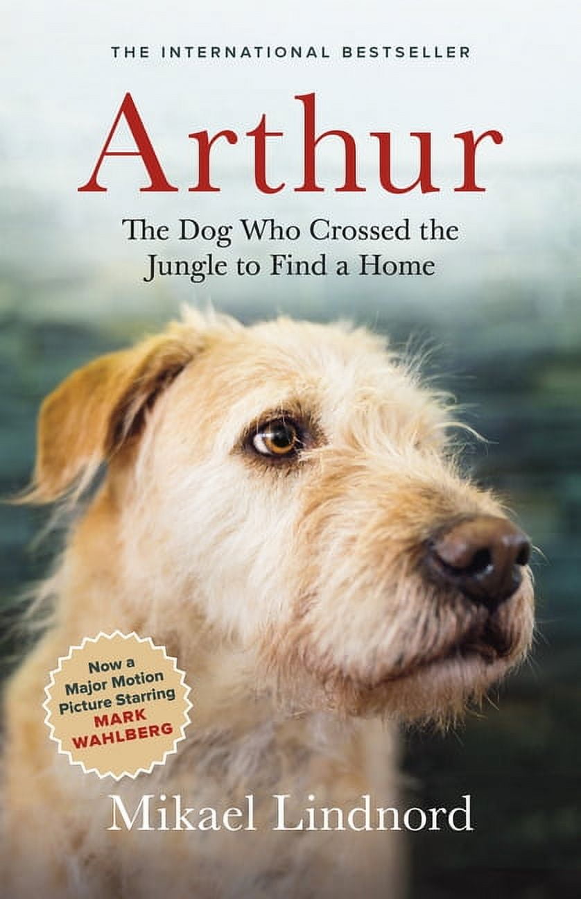 Now the Film Arthur the King Arthur: The Dog Who Crossed the Jungle to ...