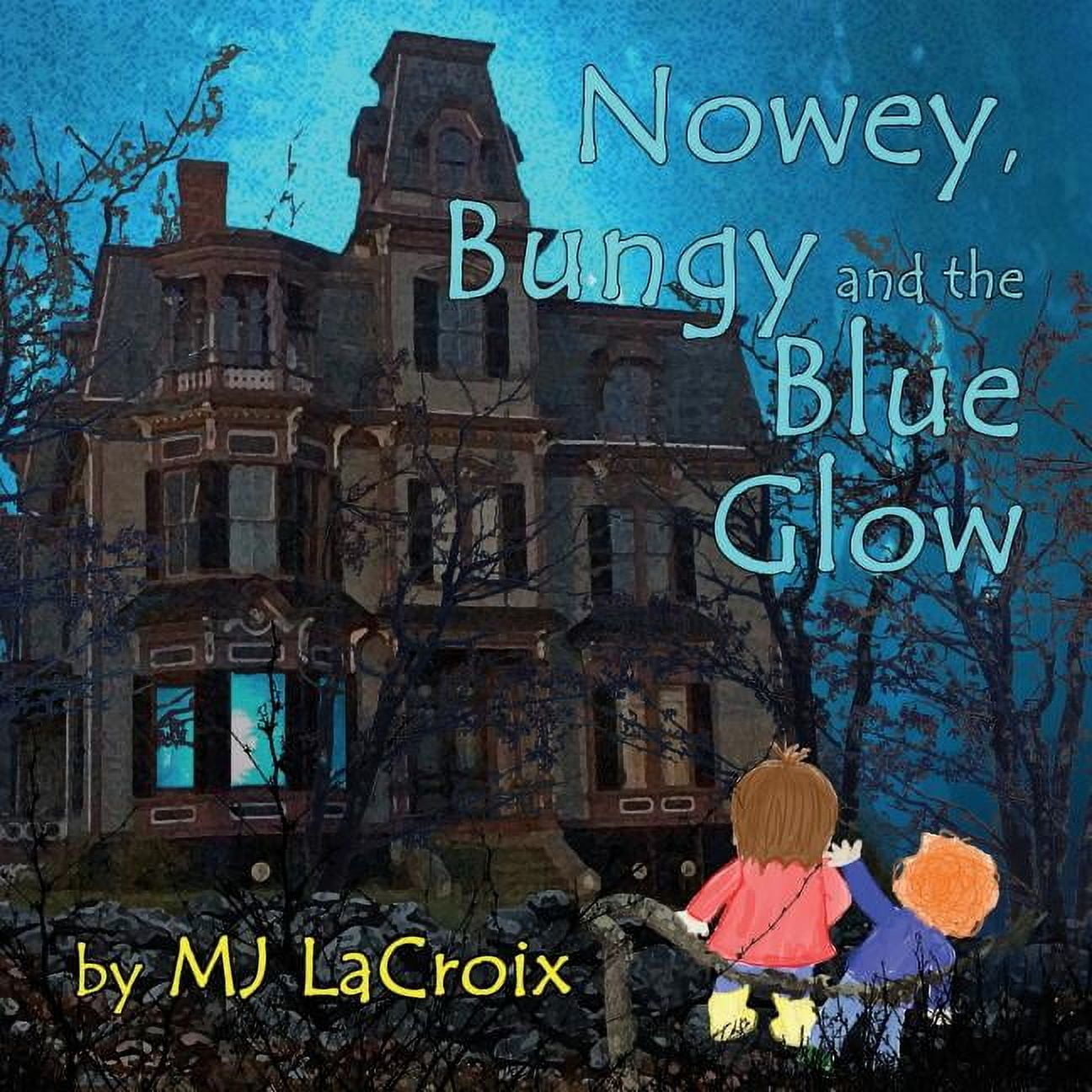 Nowey Discovers: Nowey, Bungy and the Blue Glow (Paperback) - Walmart.com