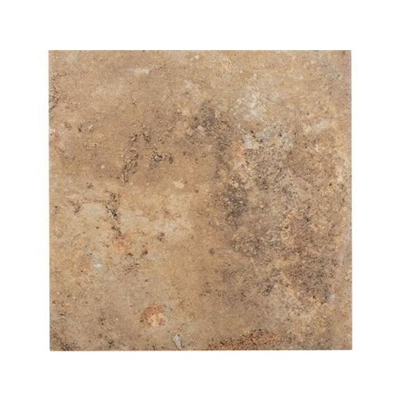 Npt TUN-ORO 6 x 6 in. Series Oro Tundra Tile - Walmart.com