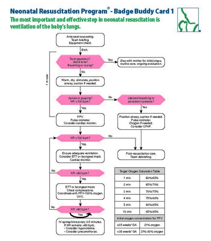 Neonatal Resuscitation Program® Wall Chart 8th Edition AED, 59% OFF