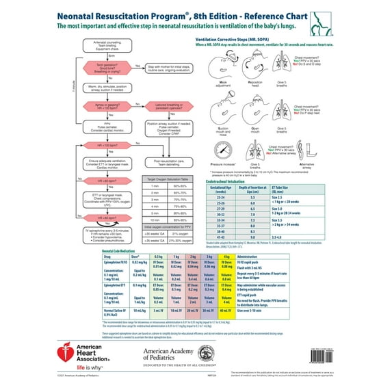 Nrp: Nrp Wall Chart (Edition 8) (Poster) - Walmart.com