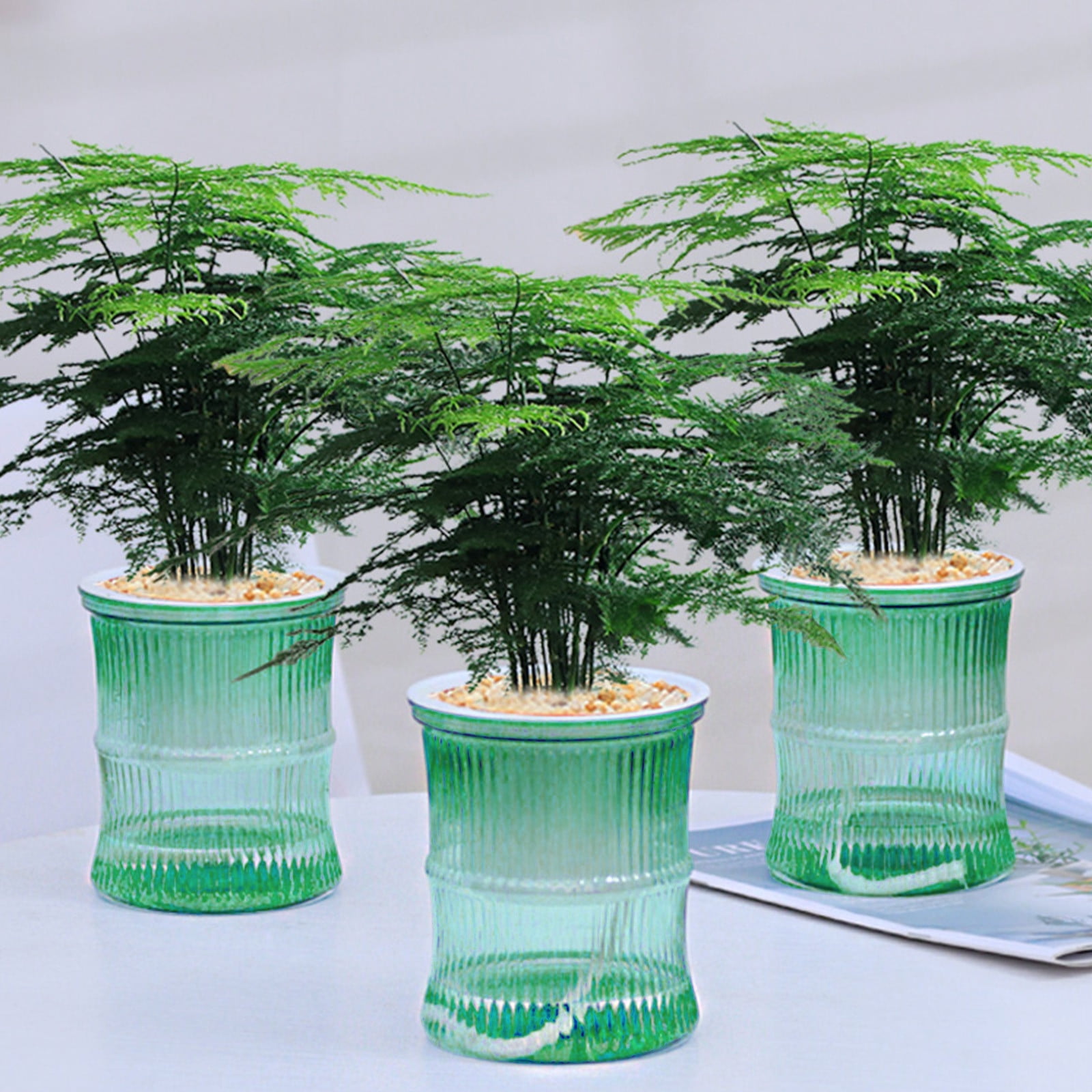 Nsxcdh Self-absorbing Lazy Transparent Water Storage Mess Cultivation ...