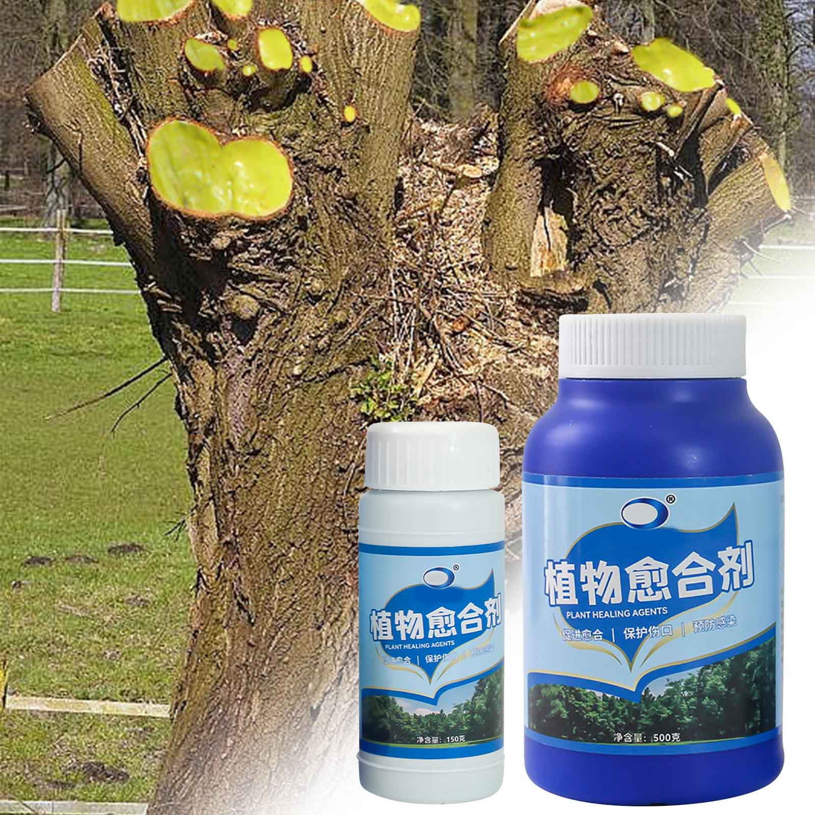 Nsxcdh Tree Wound Sealer 150 g,Waterproof Bark Grafting and Pruning Aid ...