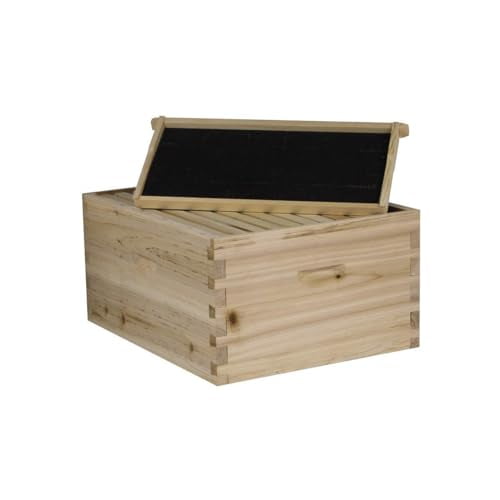 NuBee Starter 10 Frame Beehive Kit - Includes 1 Hive Body, 1 Super Box ...