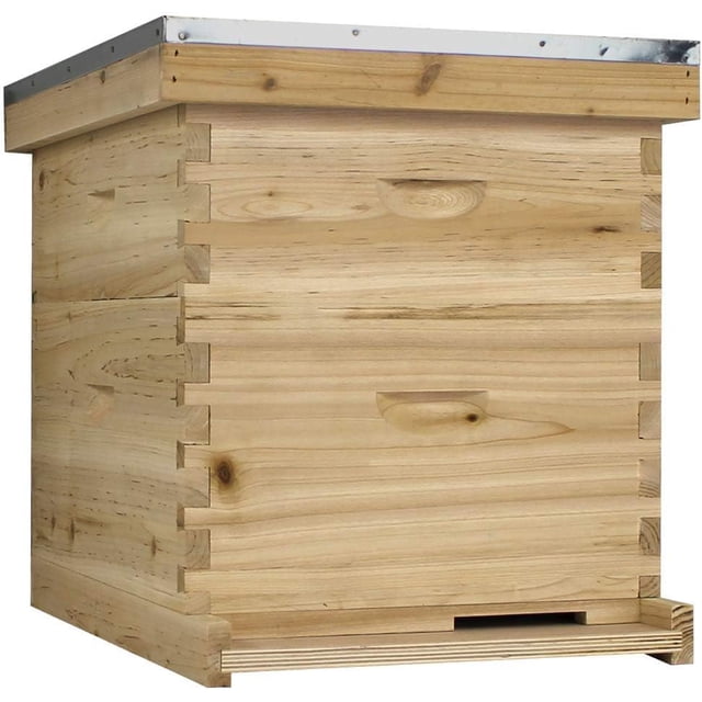 NuBee Starter 10 Frame Beehive Kit - Includes 1 Hive Body, 1 Super Box ...