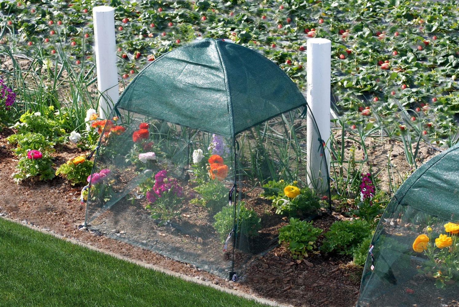 NuVue Products 24200, Bug and Shade Greenhouse Cover: 22" L x 22" W x ...