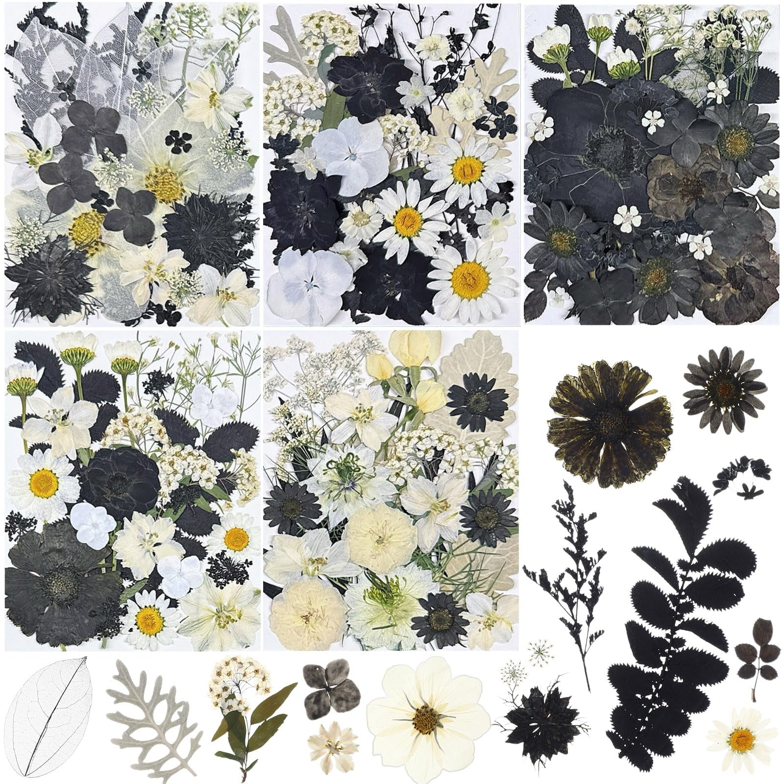 Nuanchu 167 Pcs Real Dried Pressed Flowers Natural Dried Flowers ...