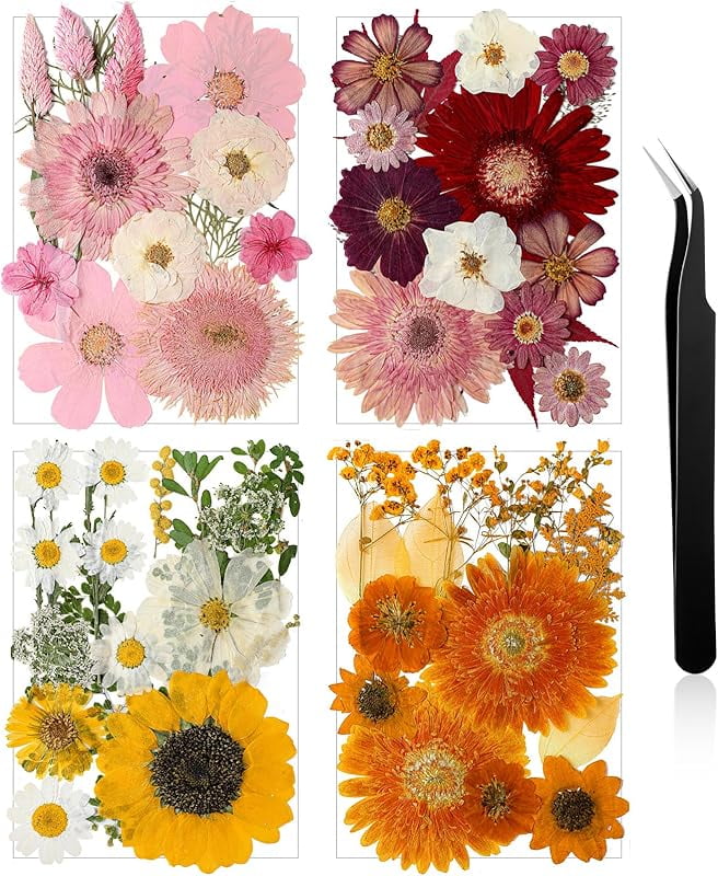 Nuanchu Pressed Flowers Bulk Dried Flower for Crafts, Dried Wildflowers ...