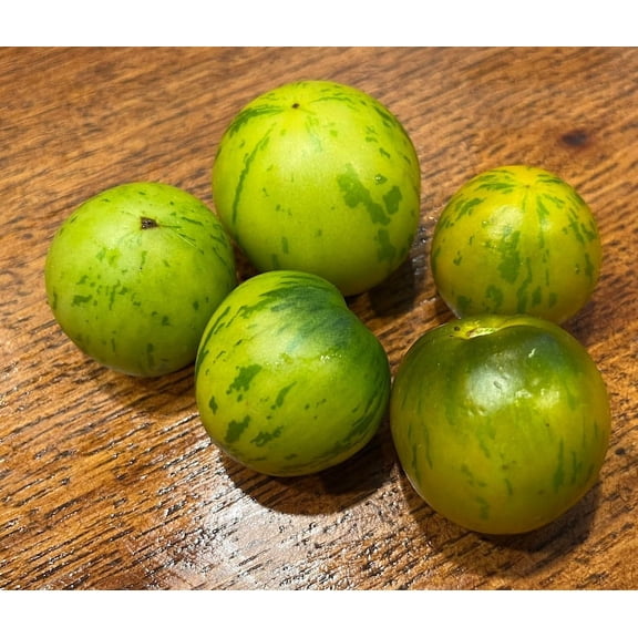 Dwarf Tomato