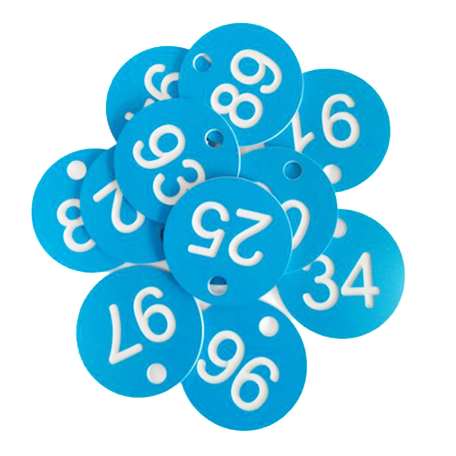 Number 1-100 Numbered Labeling with Hole Easy Fastened 100PCS Plastic ...