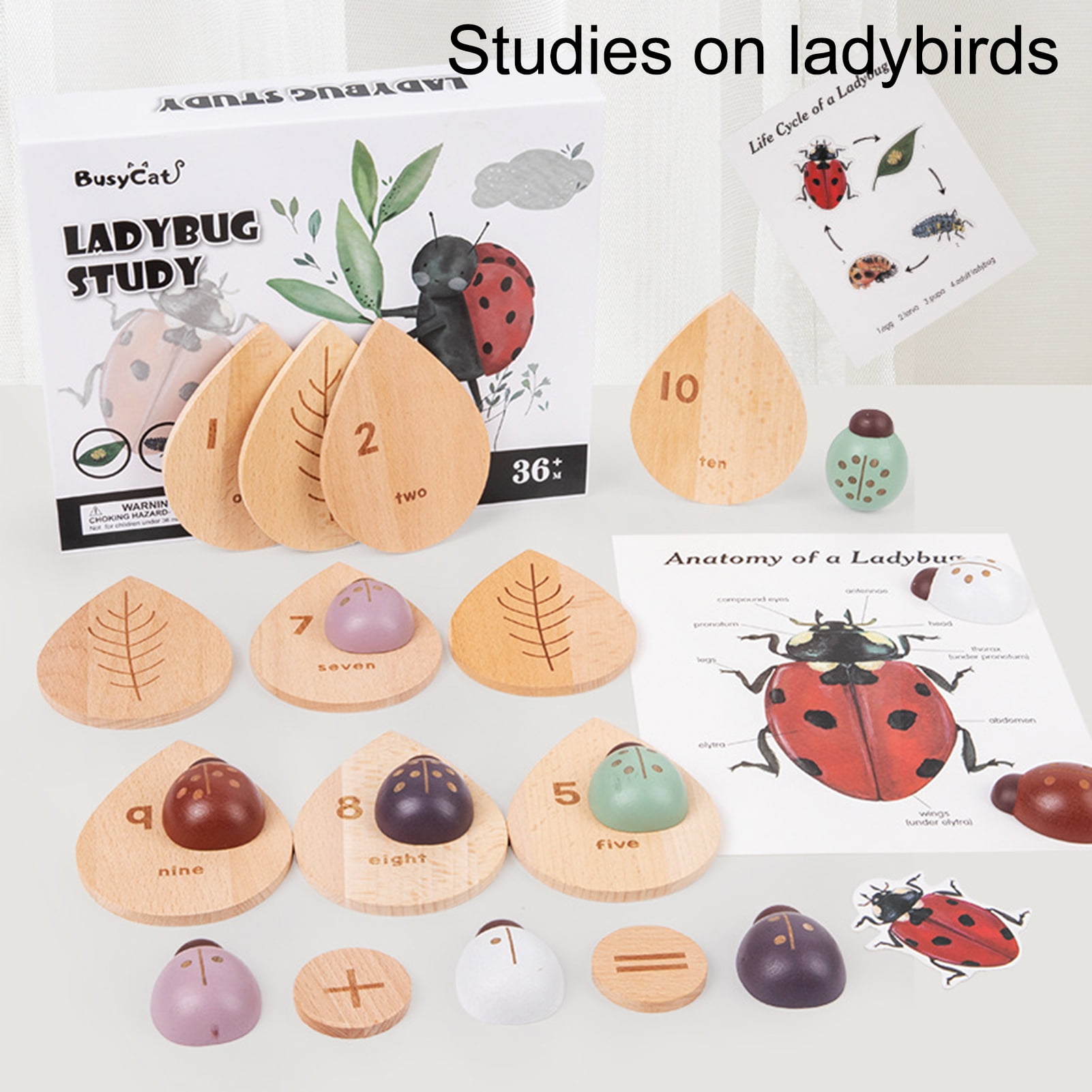 Number Counting Toy Interesting Cute Appearance Wooden Ladybugs Number ...