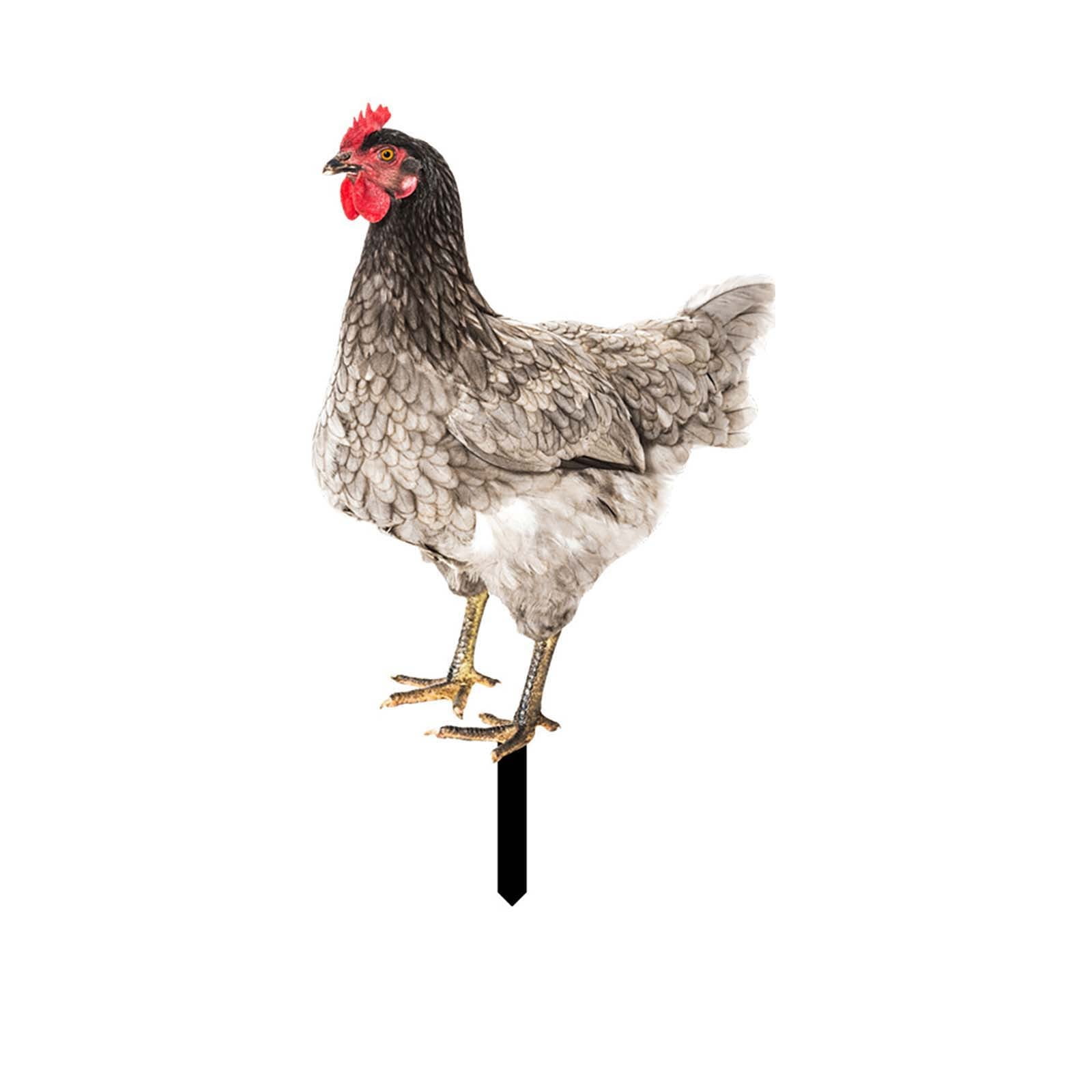 Number with Numbers Yard Sign Outdoor Address without Numbers Windsocks ...