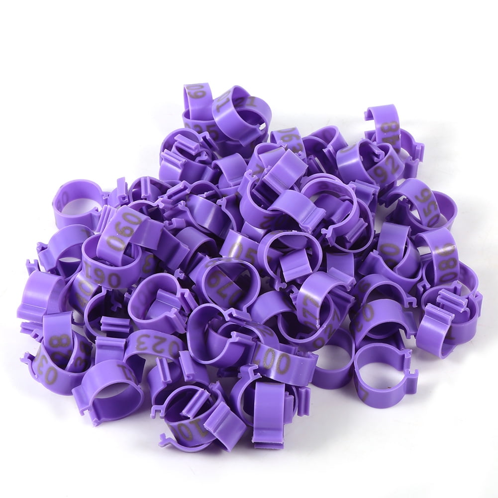 Numbered Plastic Poultry Leg Bands, Rings (Purple), 100PCS - Walmart.com