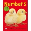 Numbers (Board Book) - Walmart.com