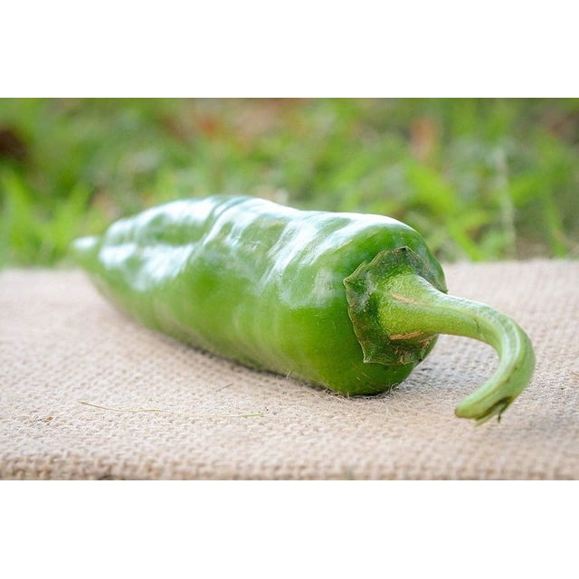 Numex Sandia New Mexico Hatch Chile Pepper Premium Seeds Packet ...