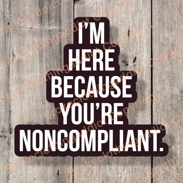 Nurse Healthcare Medical Ems Paramedic Vinyl Laptop Water Bottle ...