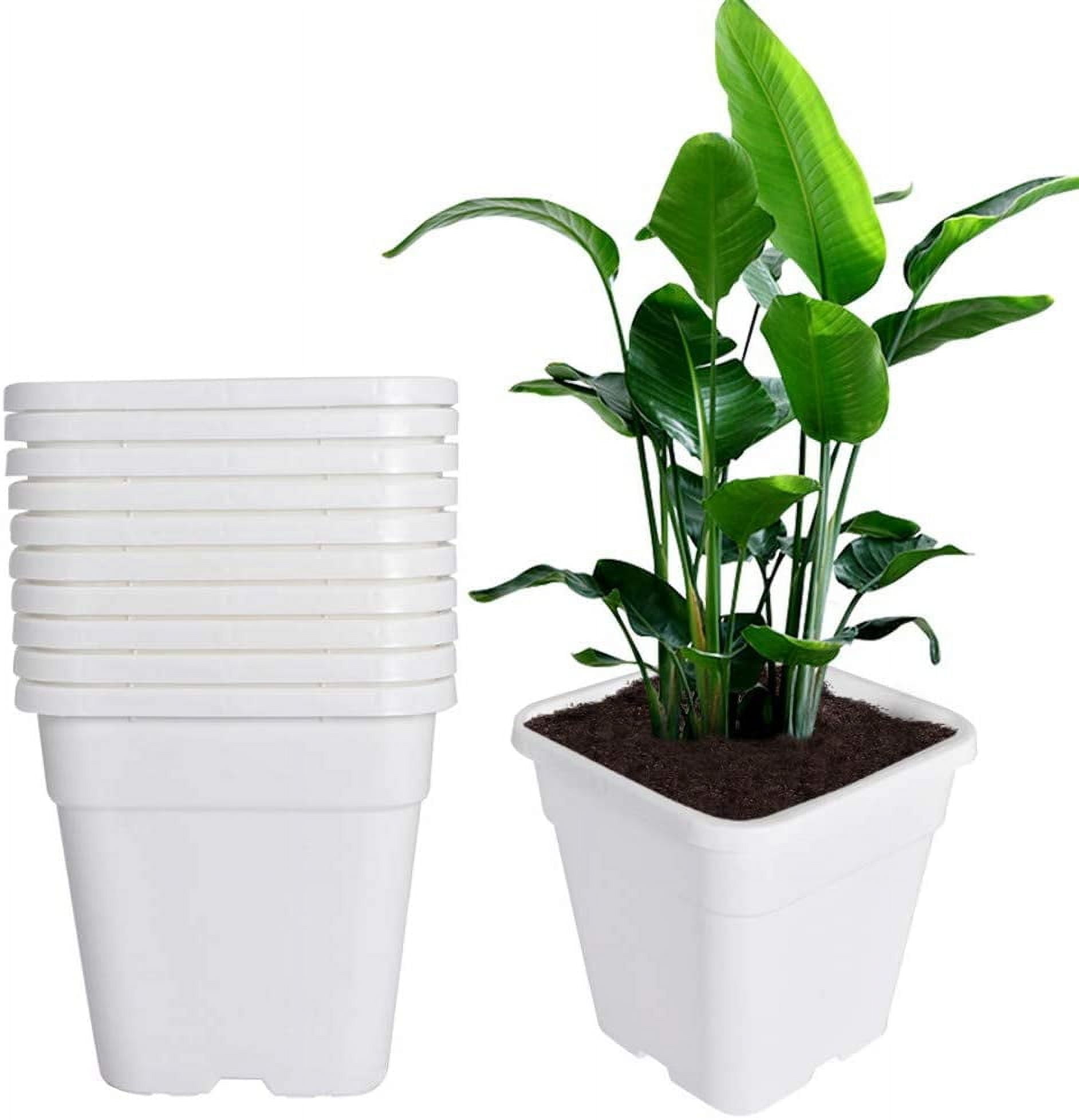 Nursery Pot 10-Pack 5 Gallon Square Plastic Garden Planter Pots Flower ...