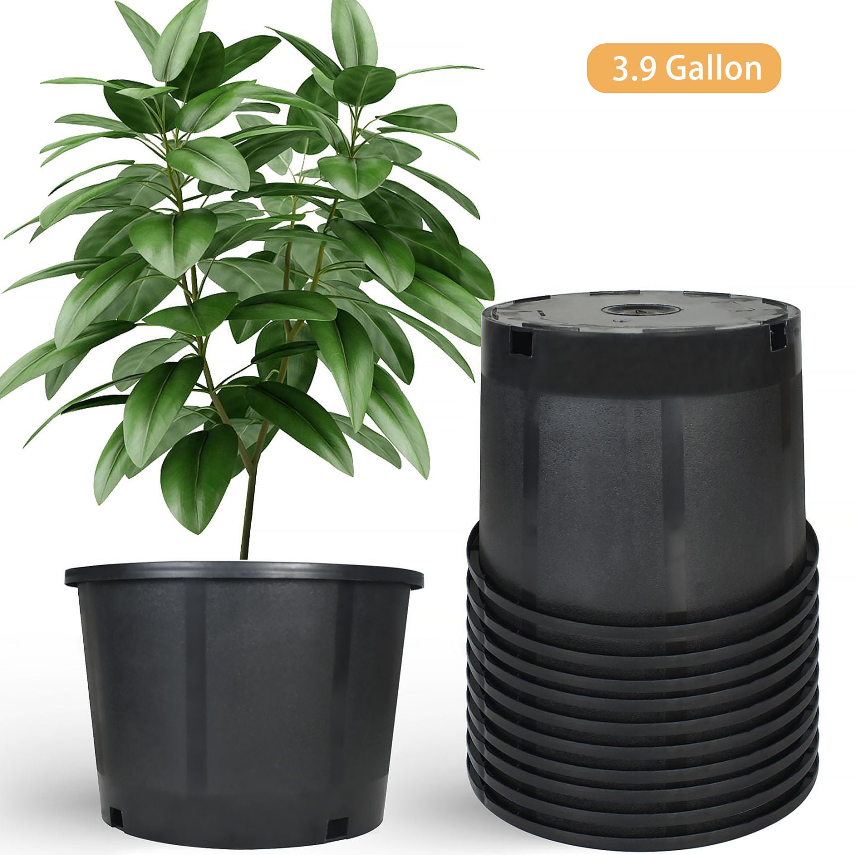 Nursery Pot, 10 Pcs Short Nursery Container Injection Molded Pot Fit ...