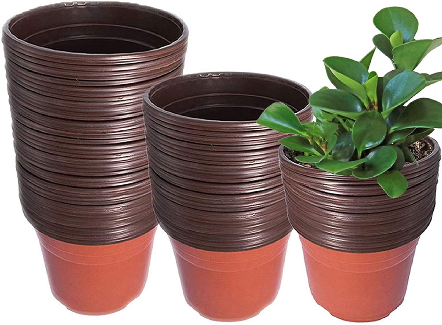 Nursery Pot Seedling Pots 100-Pack Seed Starting Pots Seedlings Cups ...