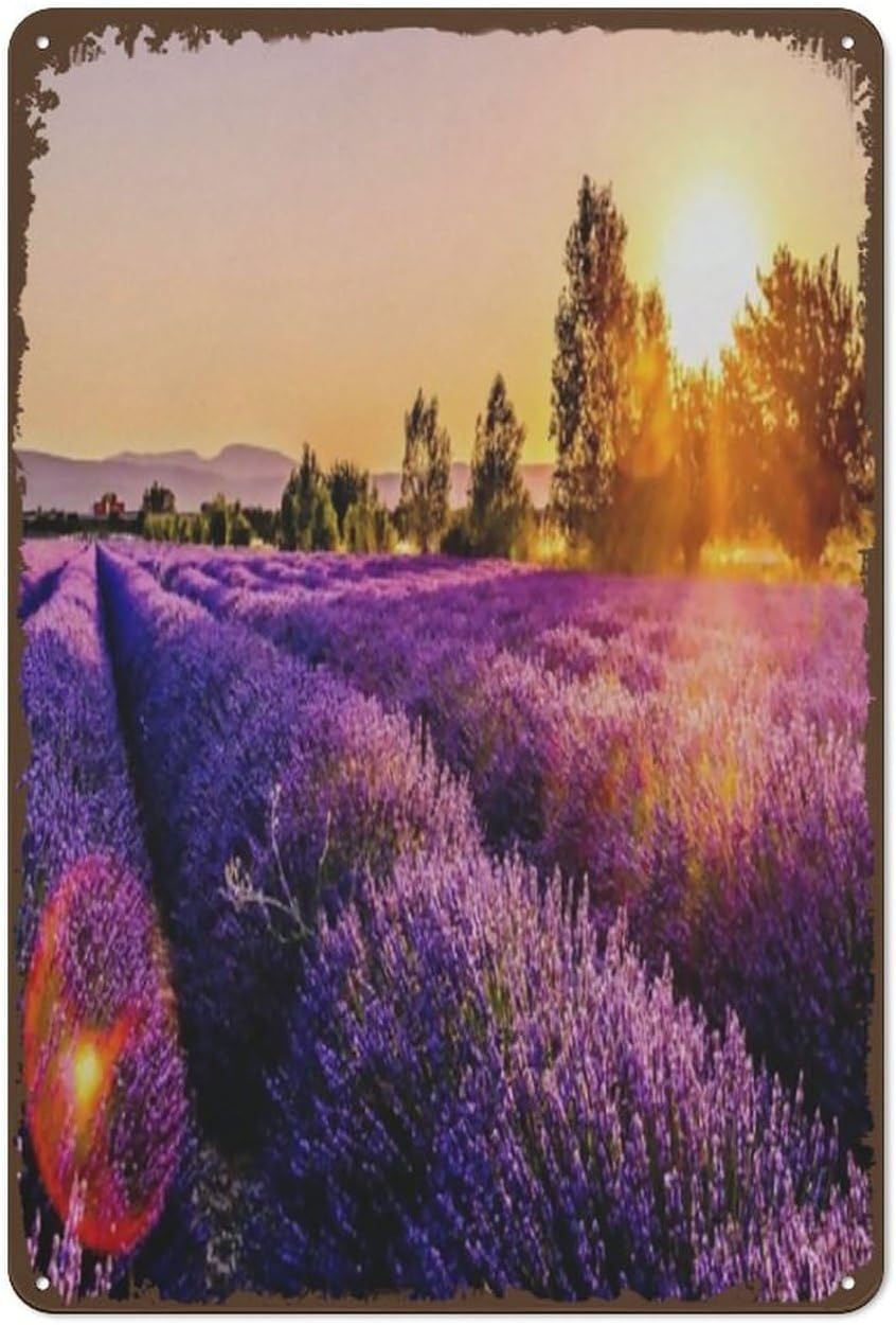 Nursery Vintage Educational Wall Art,King Solomon Seals Metal Signs ...