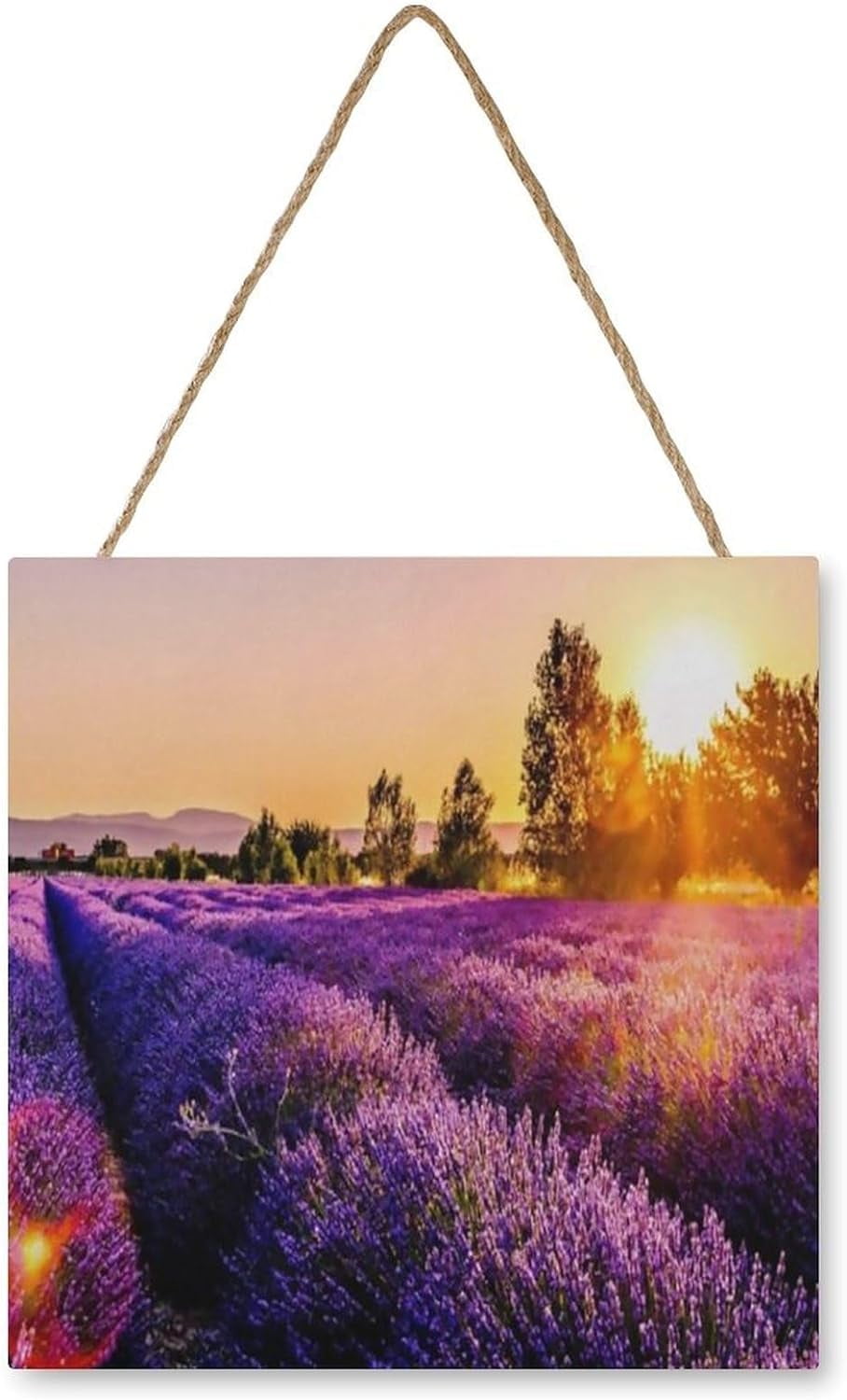 Nursery Vintage Educational Wall Art,King Solomon Seals Wooden Signs ...