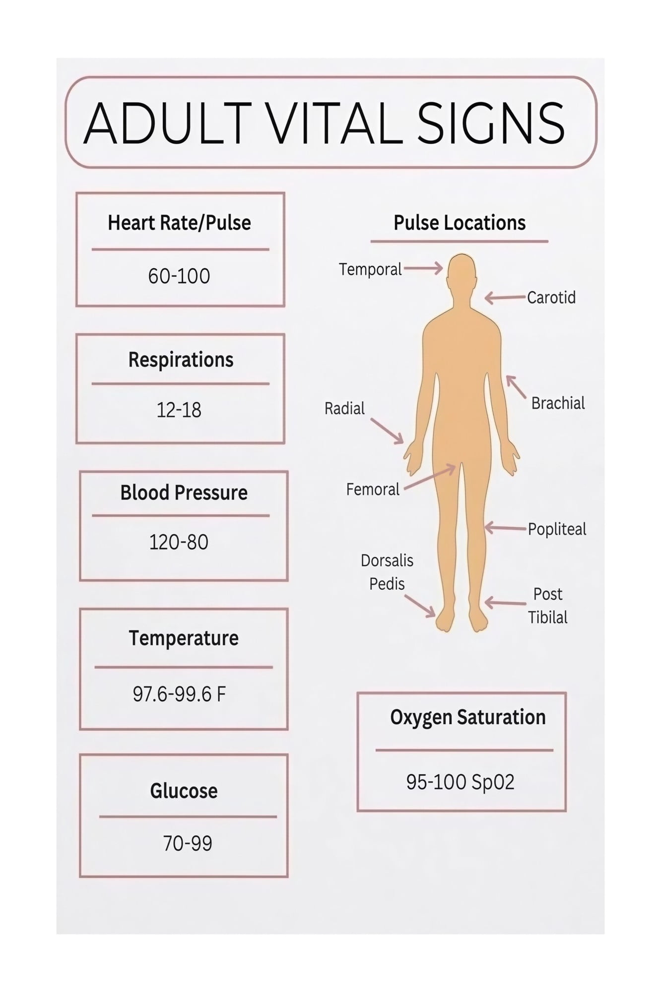 Nursing Educational Poster Adult Vital Signs Normal Ranges Pulse ...