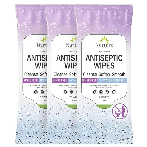Hand Sanitizing Wipes in Bath & Body - Walmart.com
