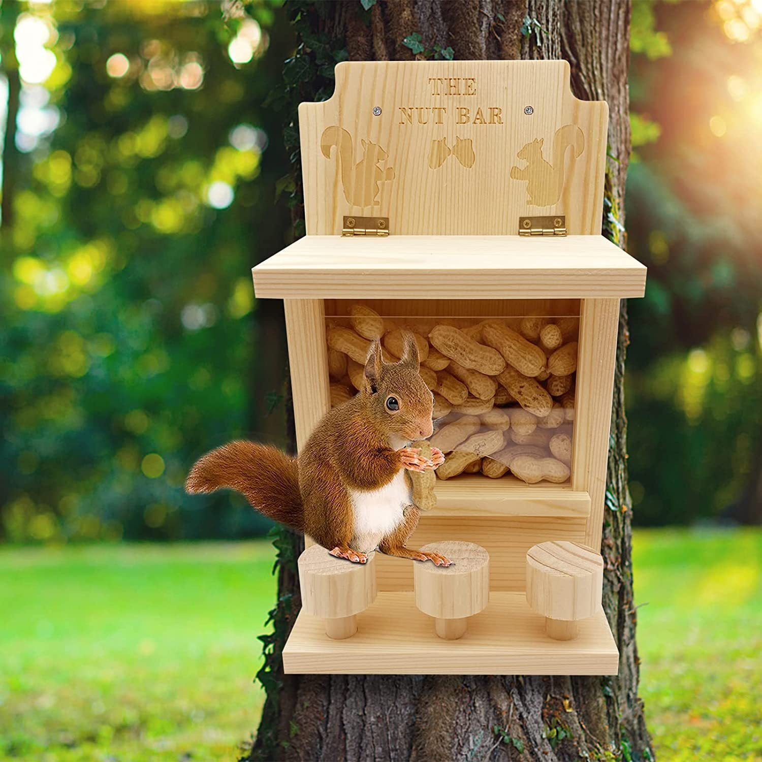 Nut Bar Squirrel Feeder - Funny Squirrel Feeder for Outside - Peanut ...