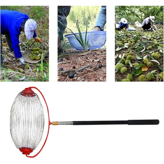 Nut Gatherer, Nut Picker Rolling Acorn Picker Upper,Garden Nut Gatherer ...