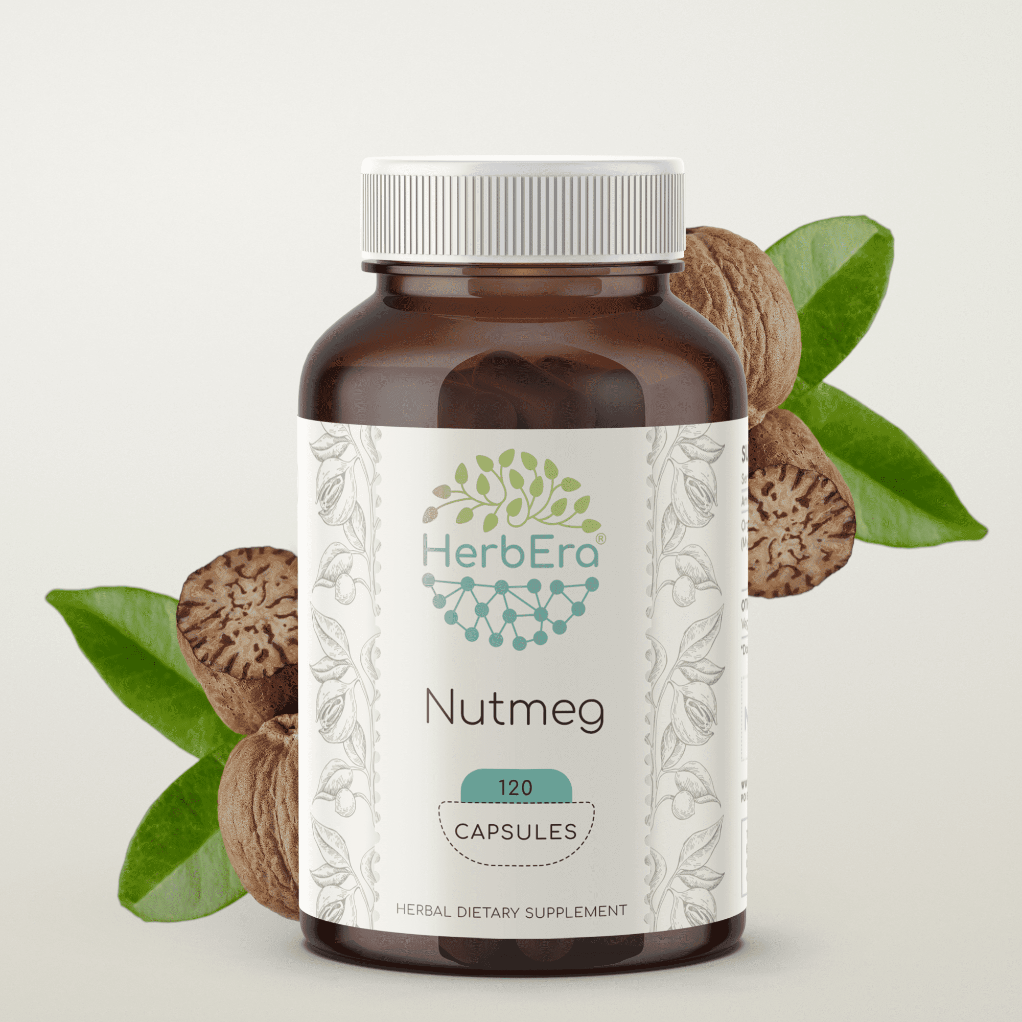 HerbEra Nutmeg Capsules, Herbal Dietary Supplement for Digestive ...