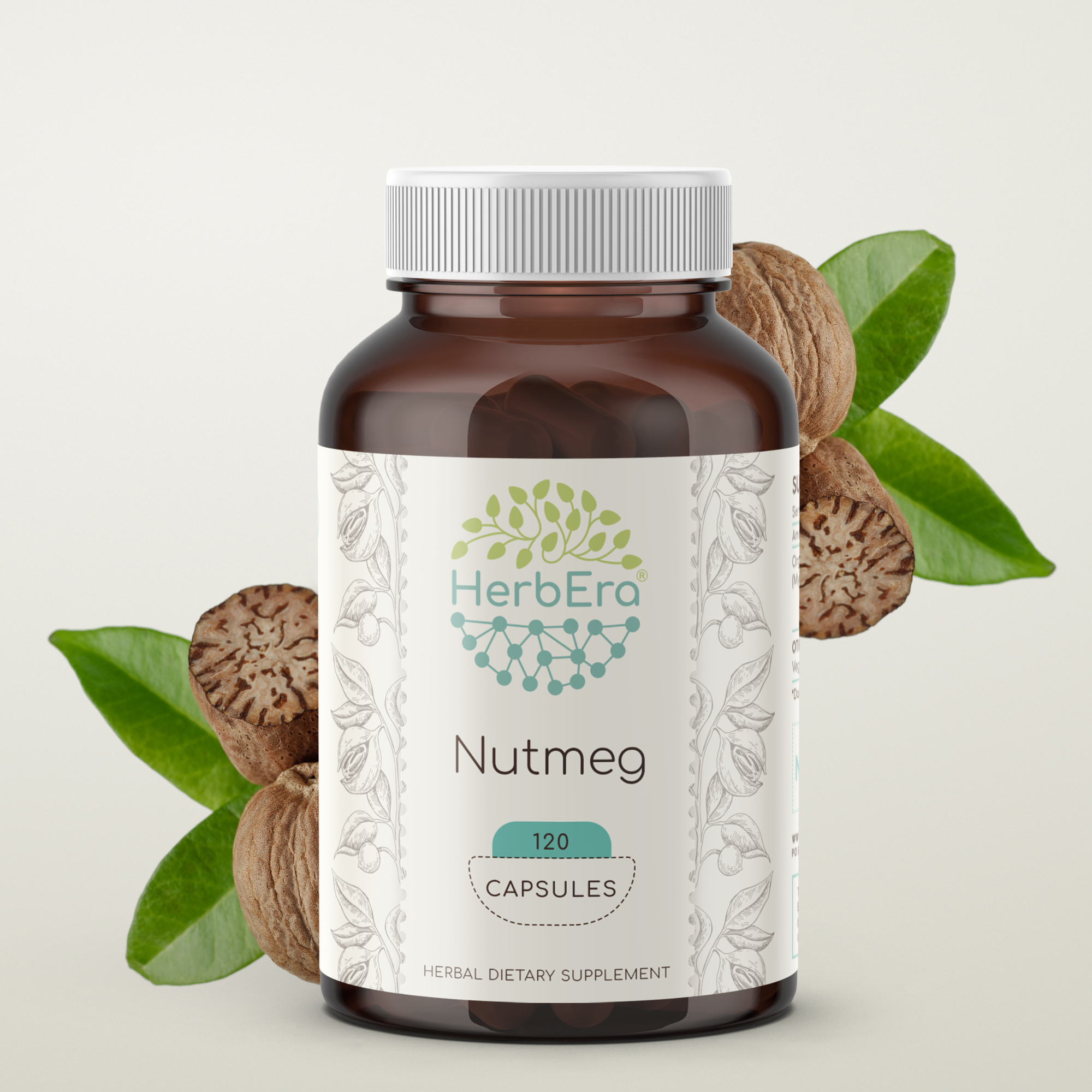 Nutmeg 120 Capsules, 500 mg, Organic Nutmeg (Rou Dou Kou, Myristica ...