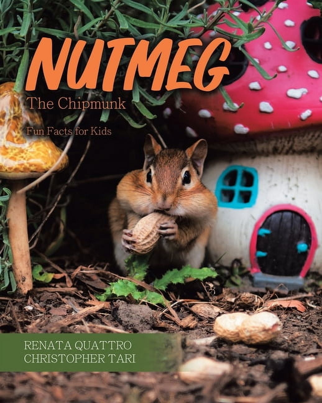 Nutmeg the Chipmunk: Fun Facts for Kids, (Paperback) - Walmart Business ...