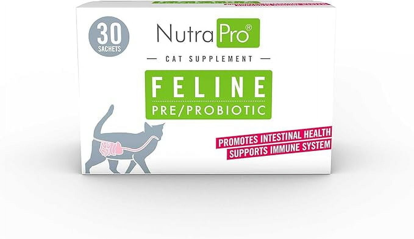NutraPro Feline - Veterinary Advanced Feline Probiotic Supplement for ...