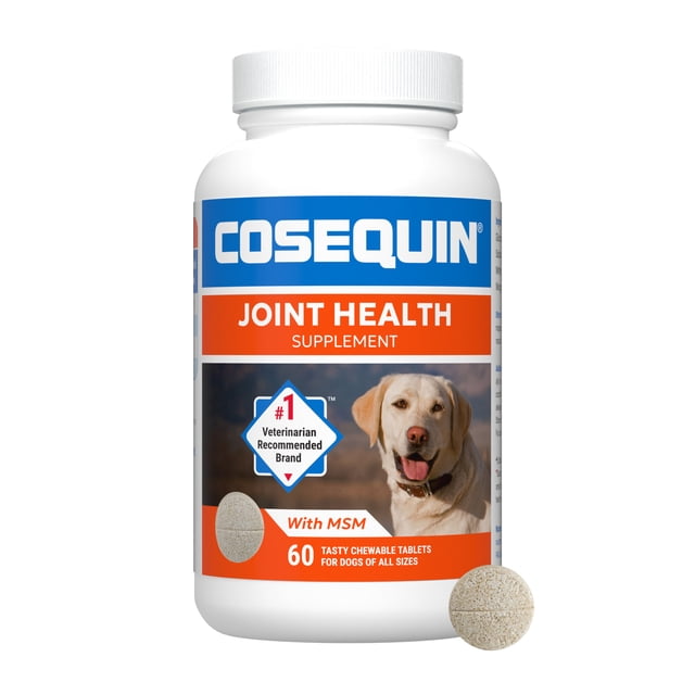 Cosequin DS Plus MSM Joint Care Chewable Strength Supplement for Dogs ...