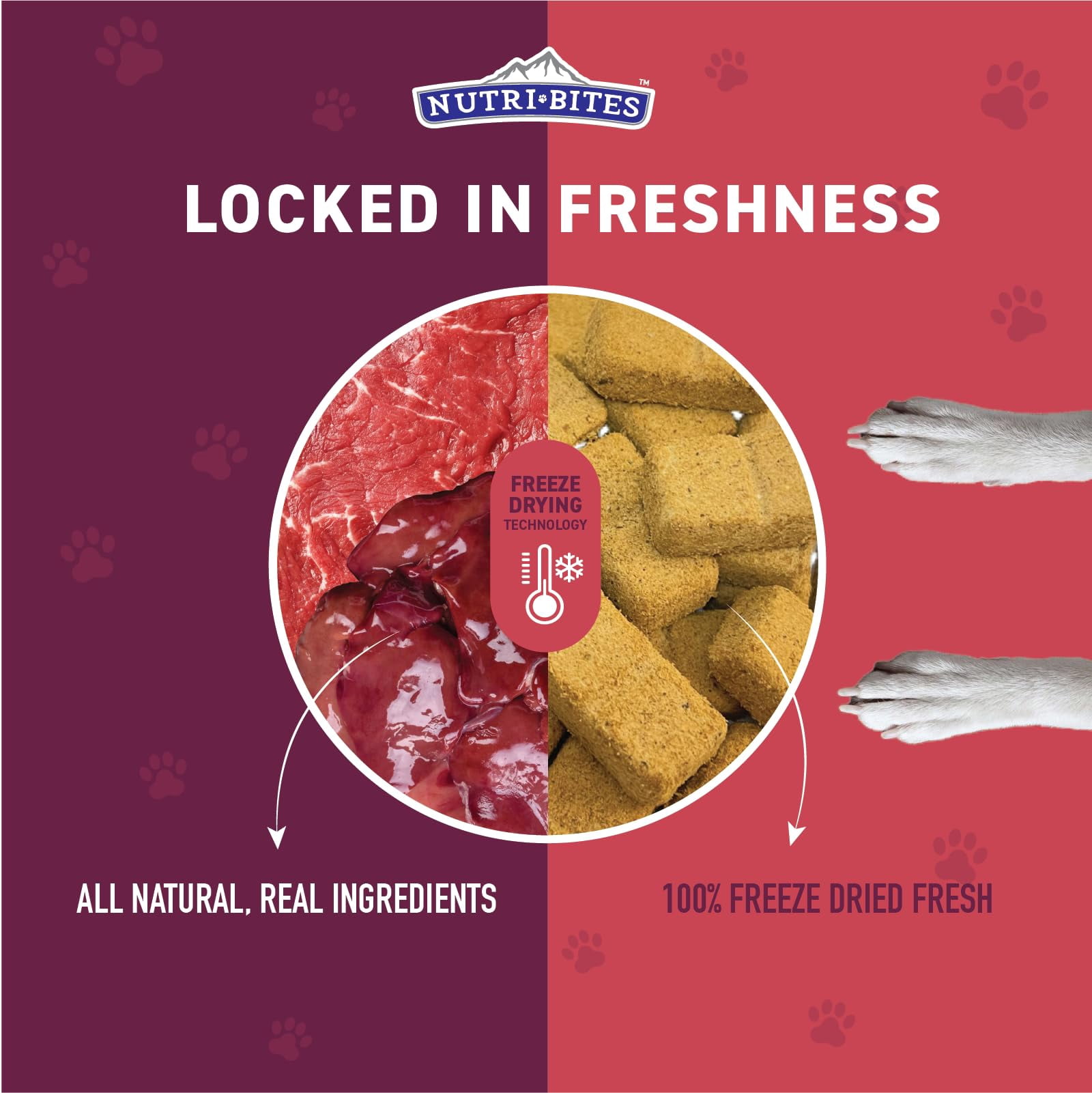 NutriBites Freeze Dried Beef Recipe Dog & H2FSDCat Treats, Pet Training ...