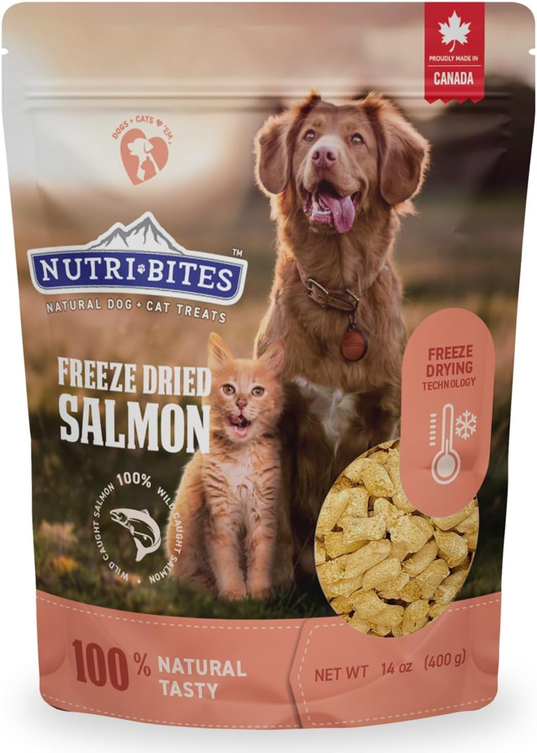 NutriBites Freeze Dried Salmon Dog & Cat Treats | Healthy Pet Training ...