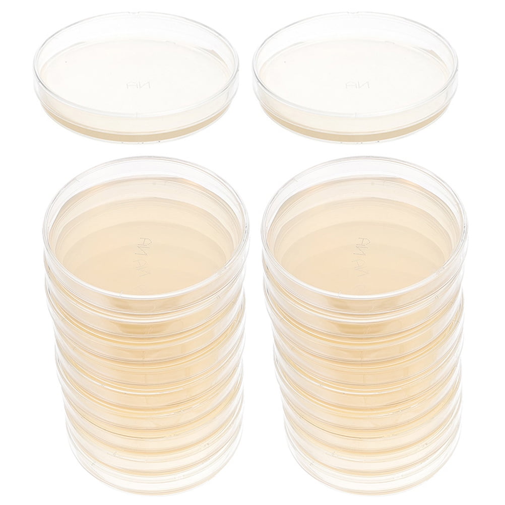 Nutrient Agar Plate Petri Dish Mushroom Plates for Science Experiment ...