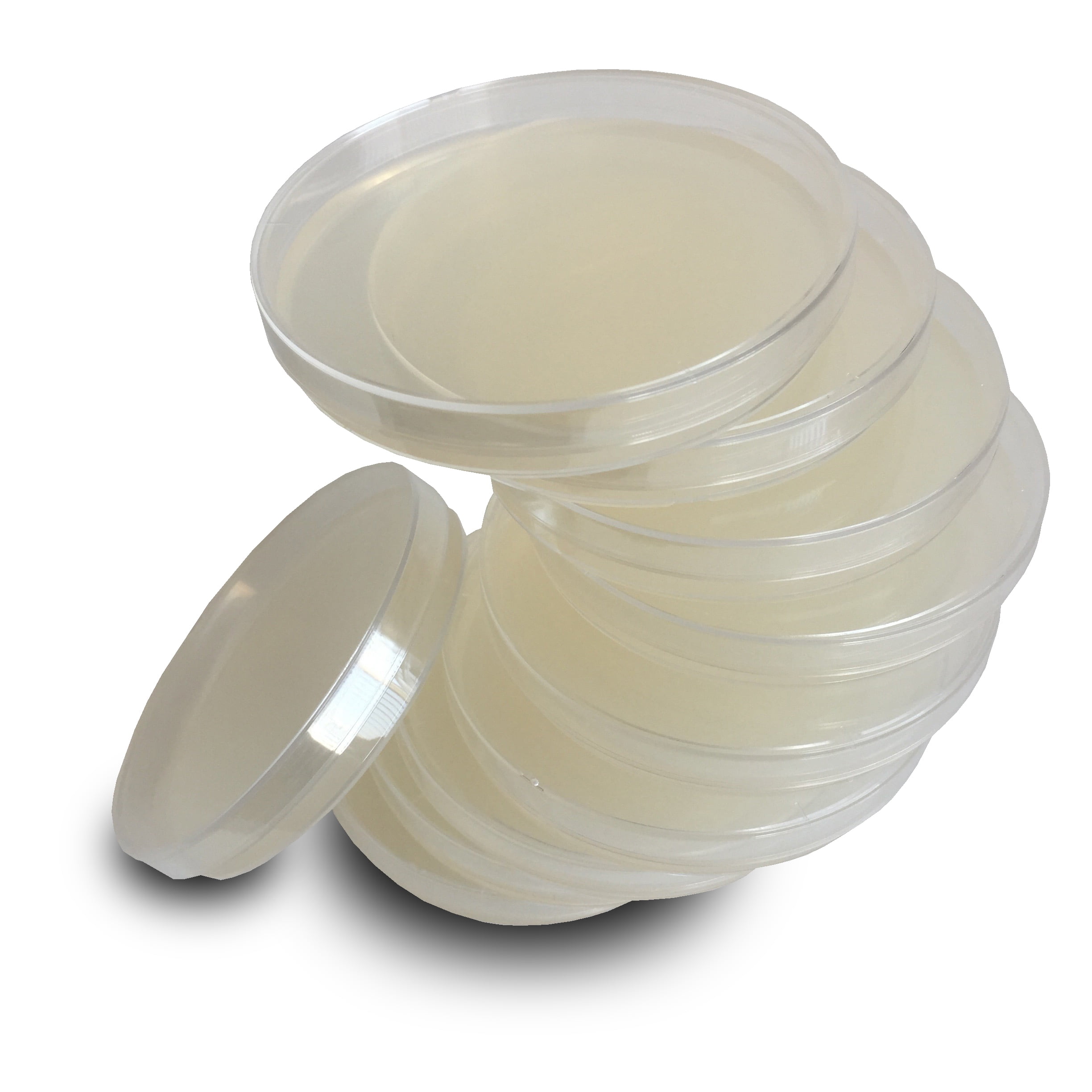 Nutrient Agar Plates by Evviva Sciences - Prepoured Nutrient Agar Petri ...