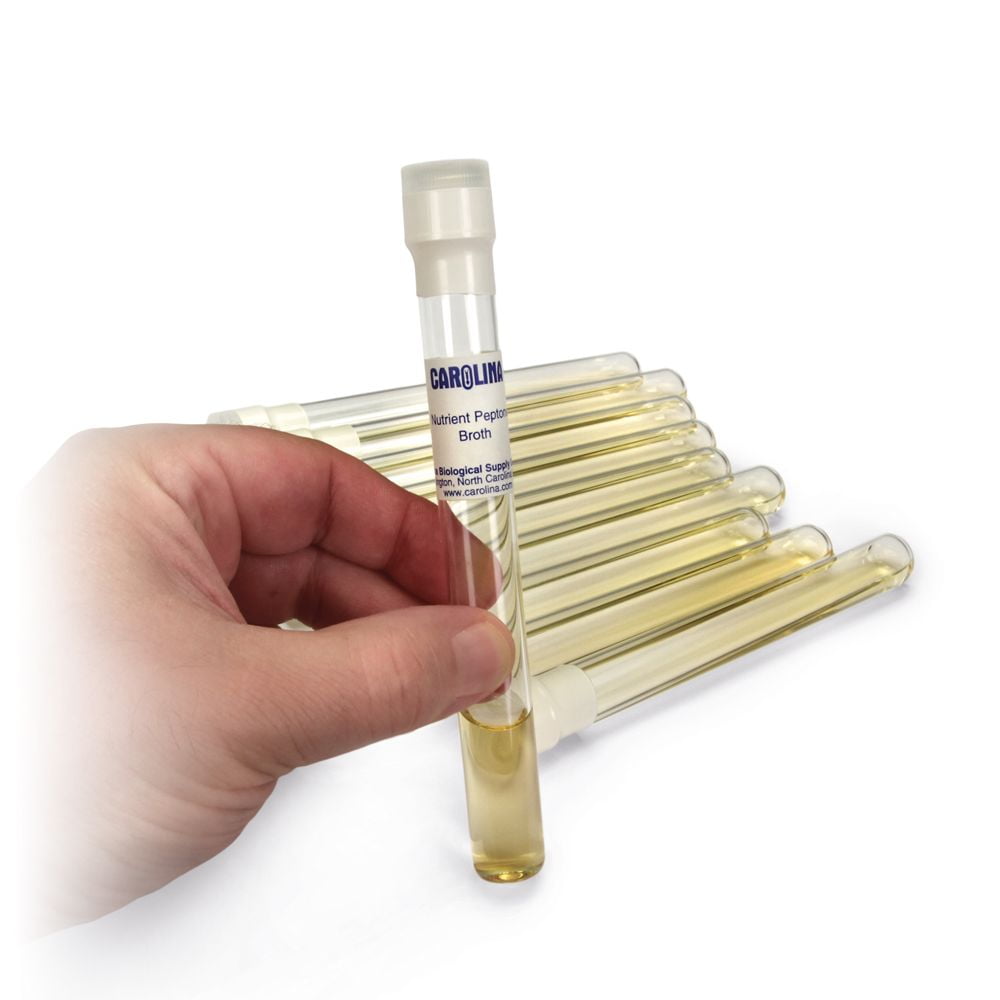 Nutrient Peptone Broth, Prepared Media Tubes, Pack Of 10 - Walmart.com