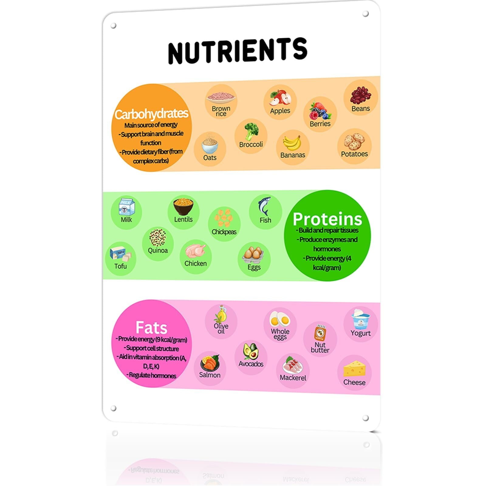 Nutrition Chart Poster - Carbohydrates Proteins Fats Food Sources Guide ...
