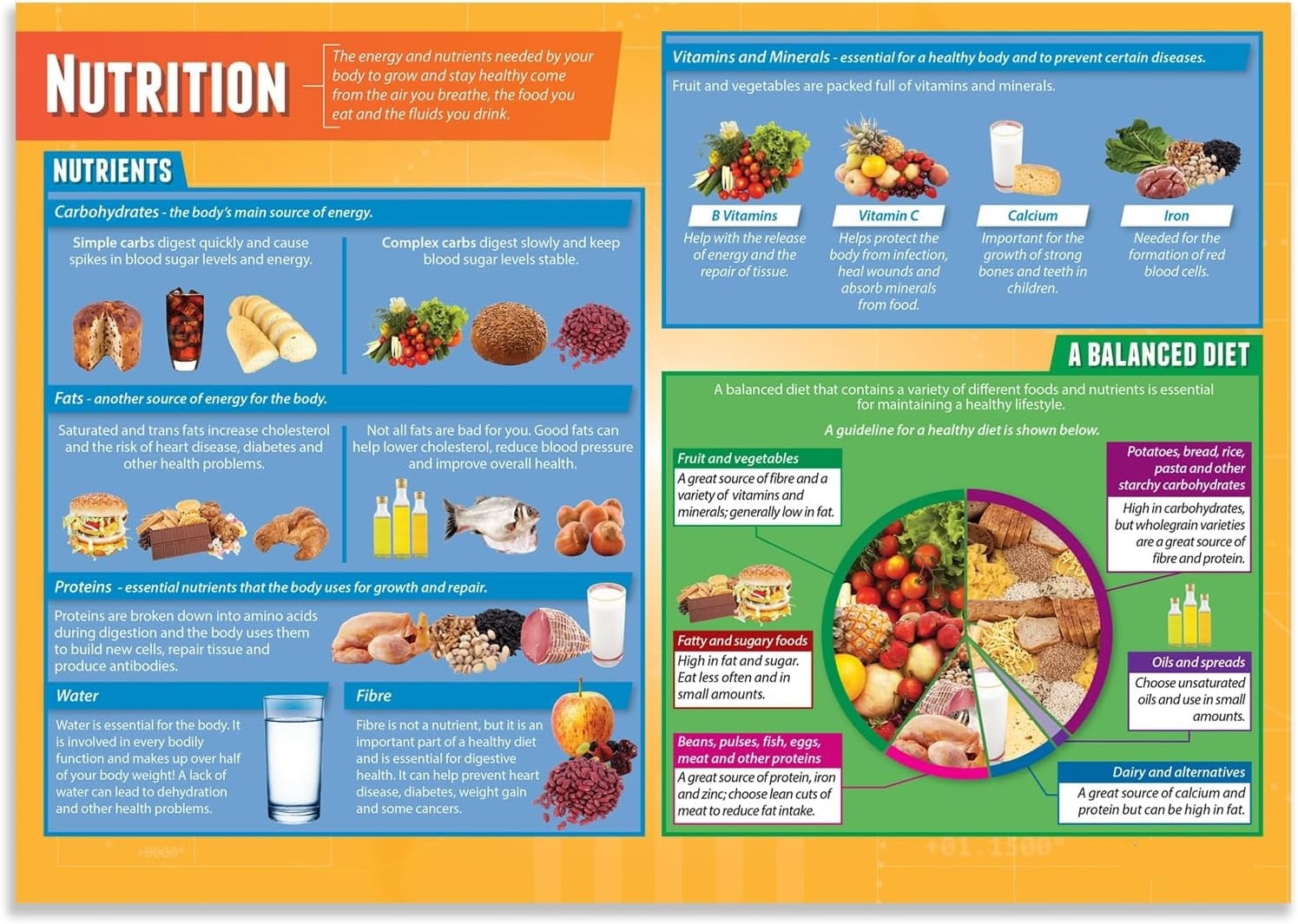 Nutrition Classroom Poster Physical Education Middle & High School ...