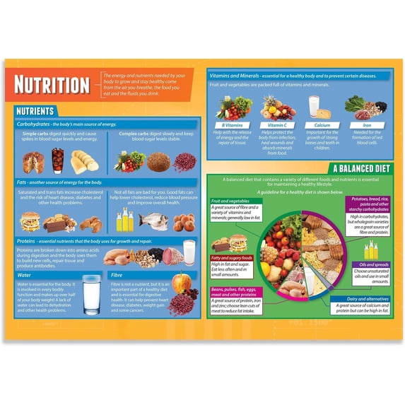 Nutrition Classroom Poster Physical Education Middle & High School ...