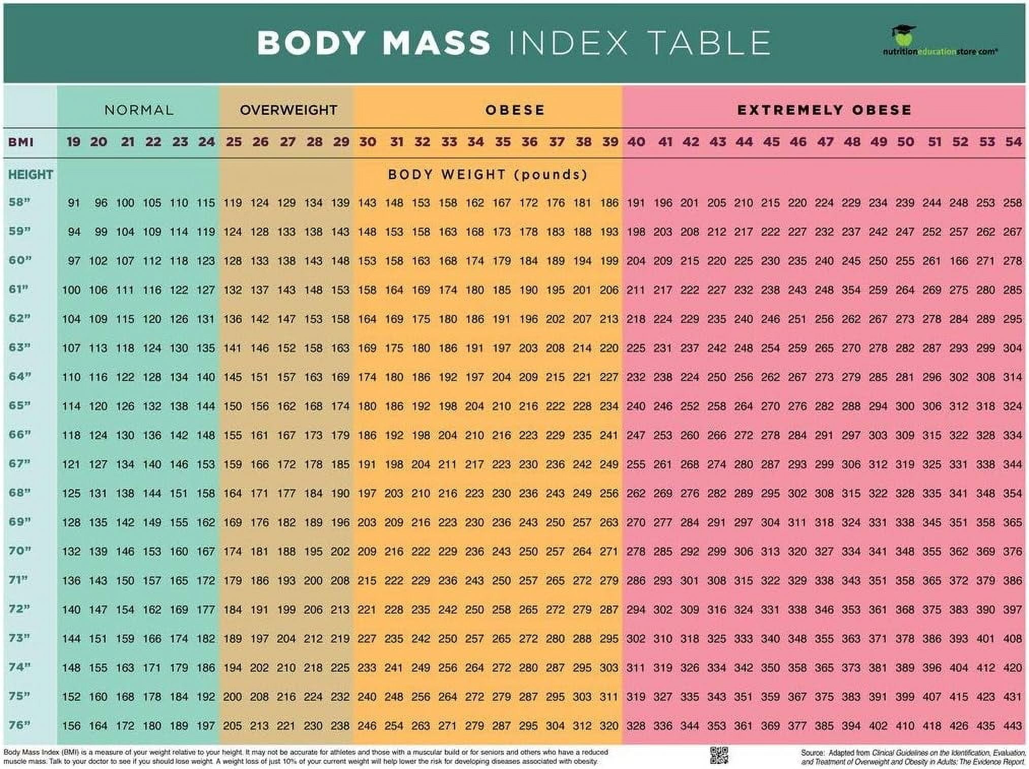 Nutrition Education Store BMI POSTER - BMI CHART - BODY MASS INDEX ...
